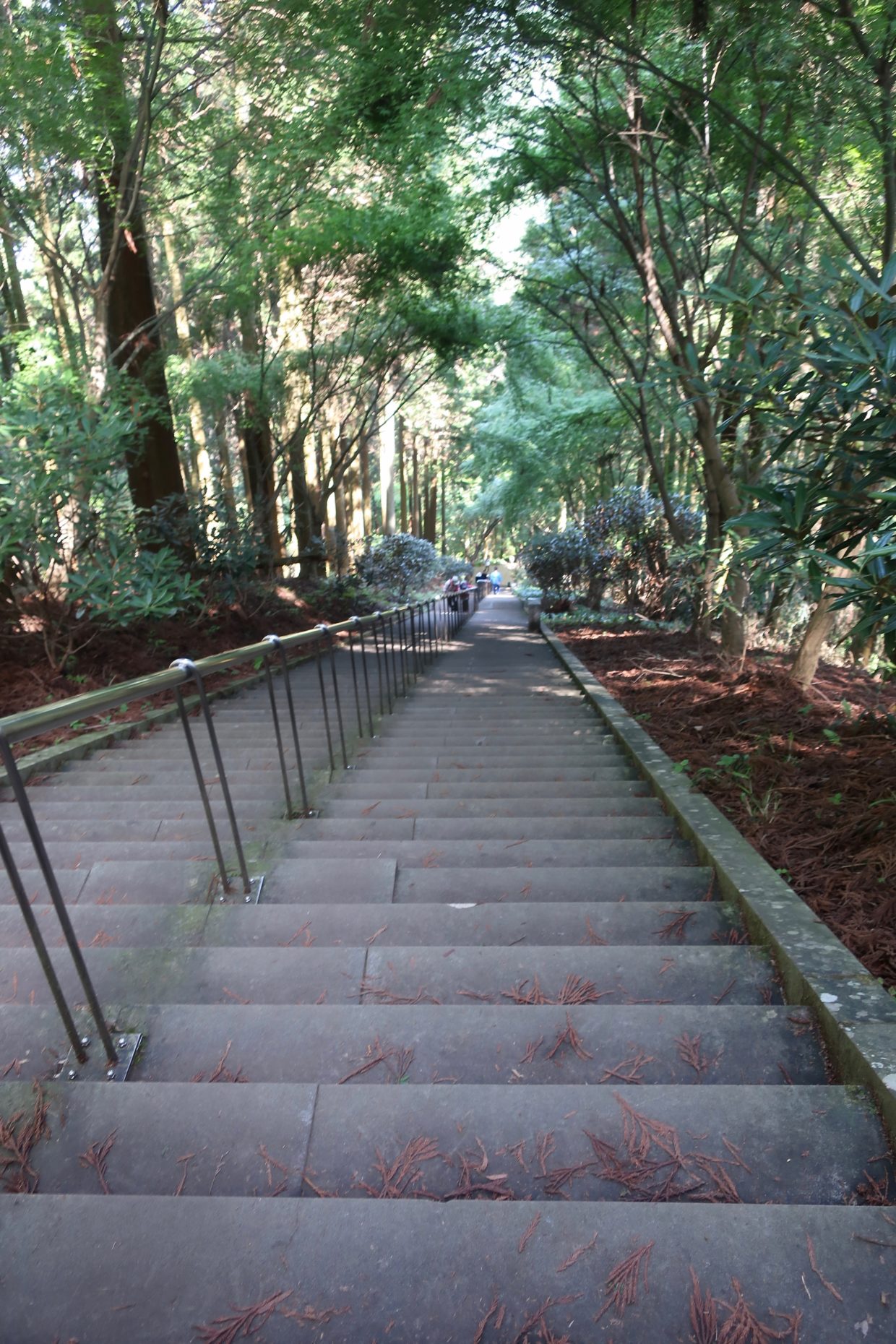 Shakain(釈迦院) ~temple standing up to the 3333 stone steps, Kumamoto ...
