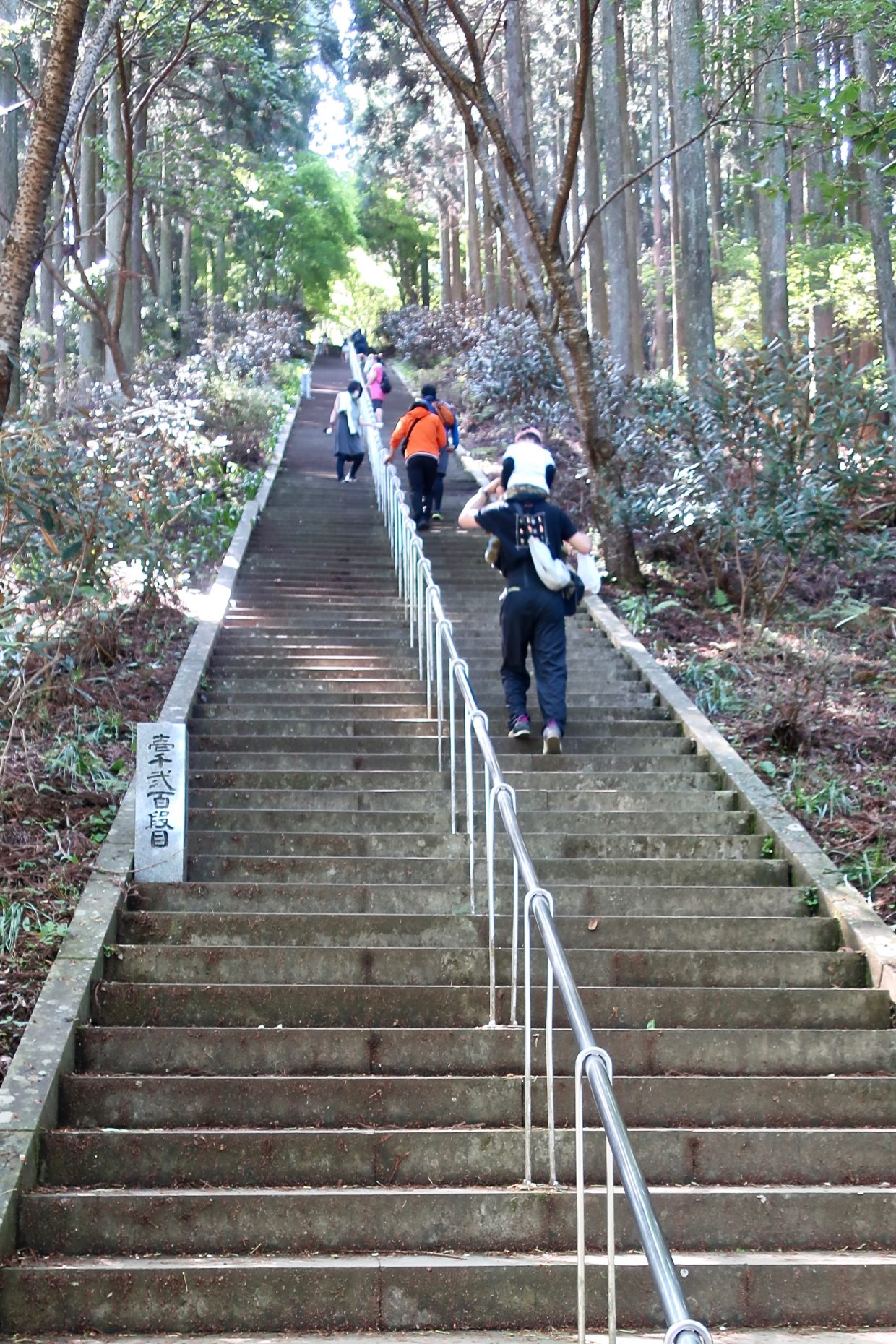 Shakain(釈迦院) ~temple standing up to the 3333 stone steps, Kumamoto ...