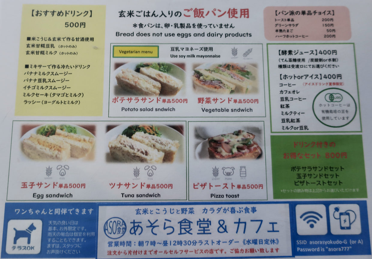 Early Morning Hot Air Balloon Ride Experience in Aso | Untapped Kumamoto